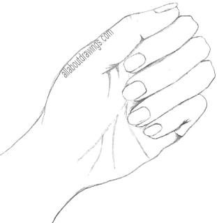 Blind Contour Drawing